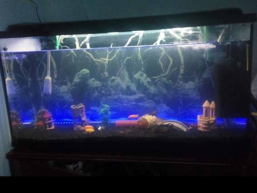 Аквариум 450 л