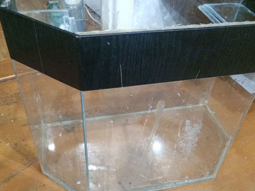 Террариум для эублефара бу