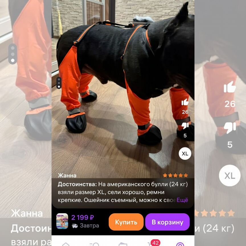 Ботинки для собак