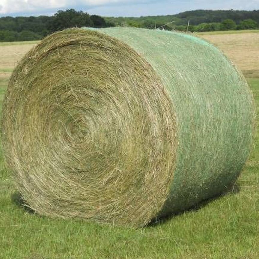 Продам сено в рулонах