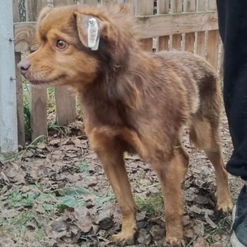 Мальчик мелкашь, спасите ребёнка