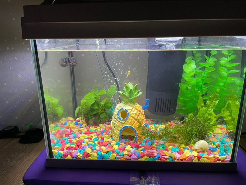 Аквариум Tetra 20 литров