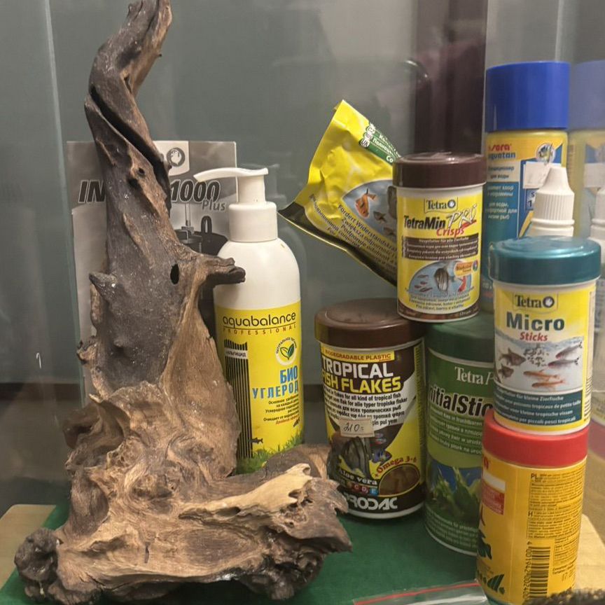 Аквариум с наполнением