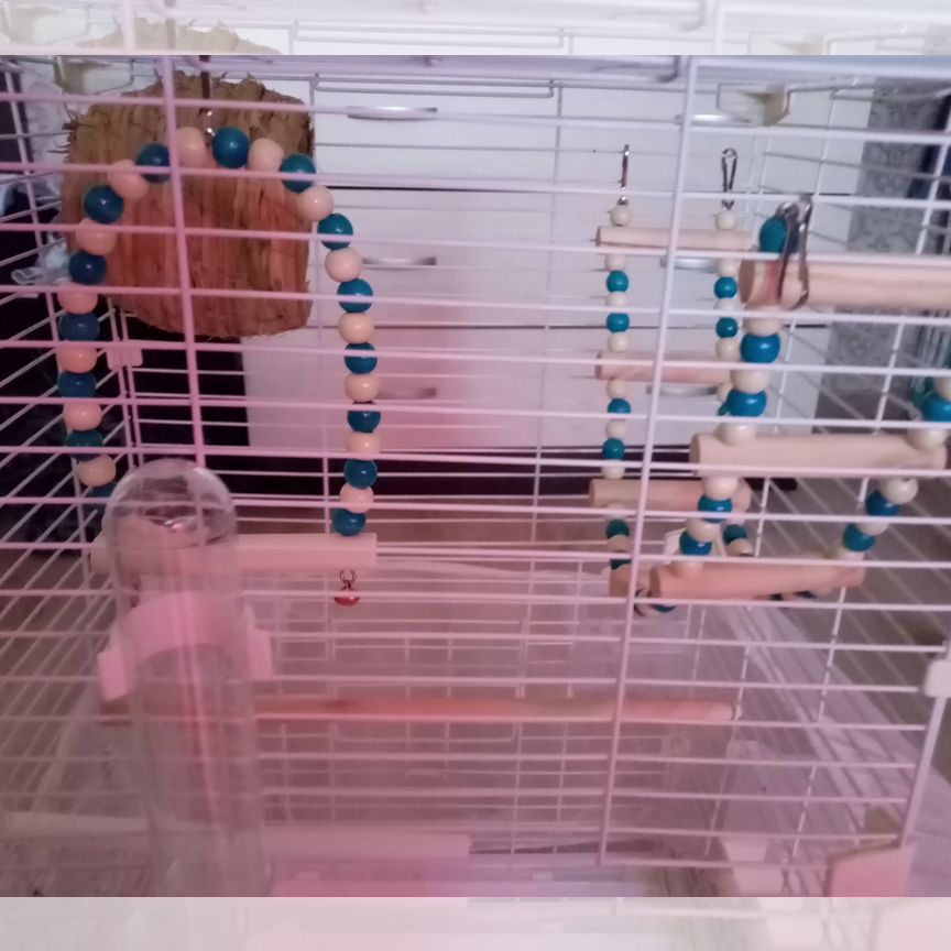 Клетка для попугая