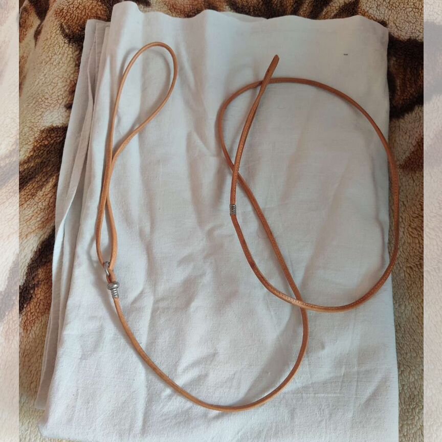 Ринговка для собак