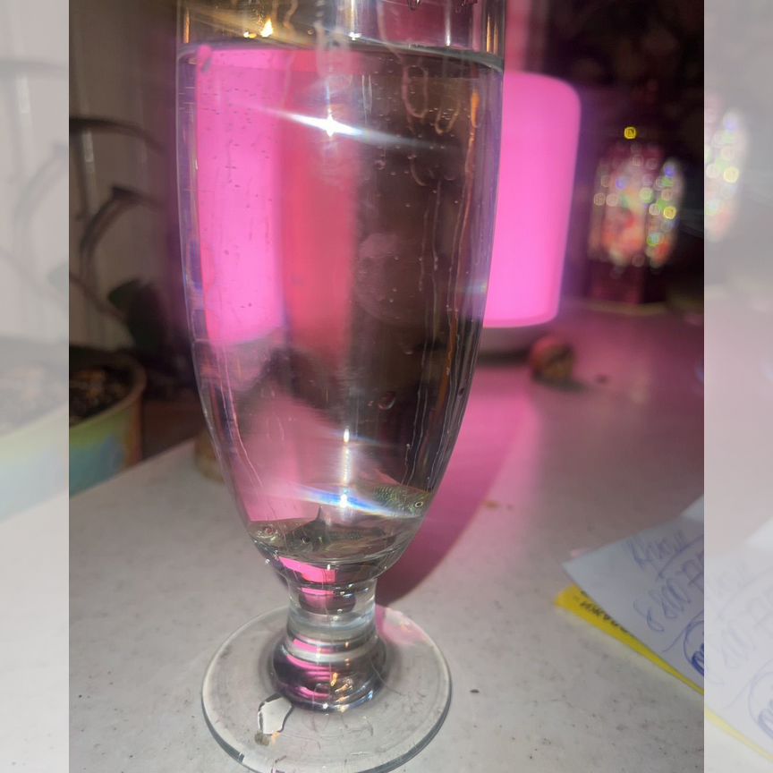 Рыбки сомики 3 шт