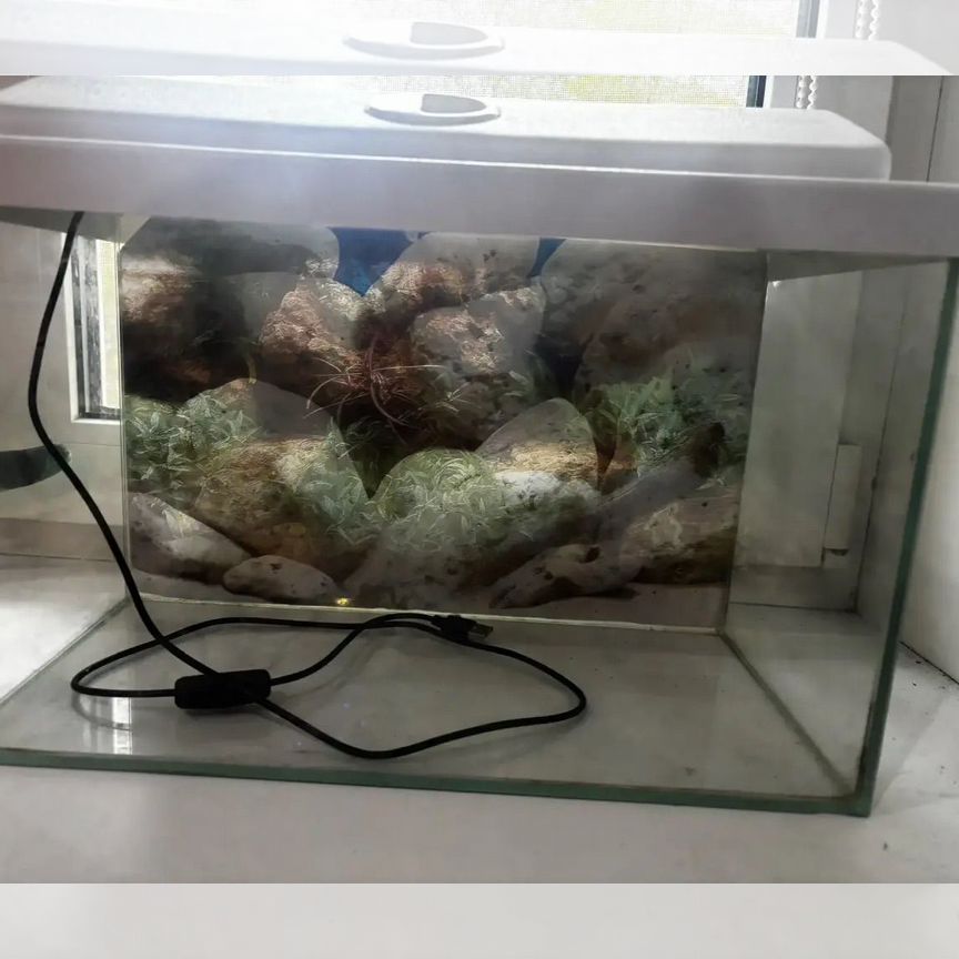 Аквариум 20 литров