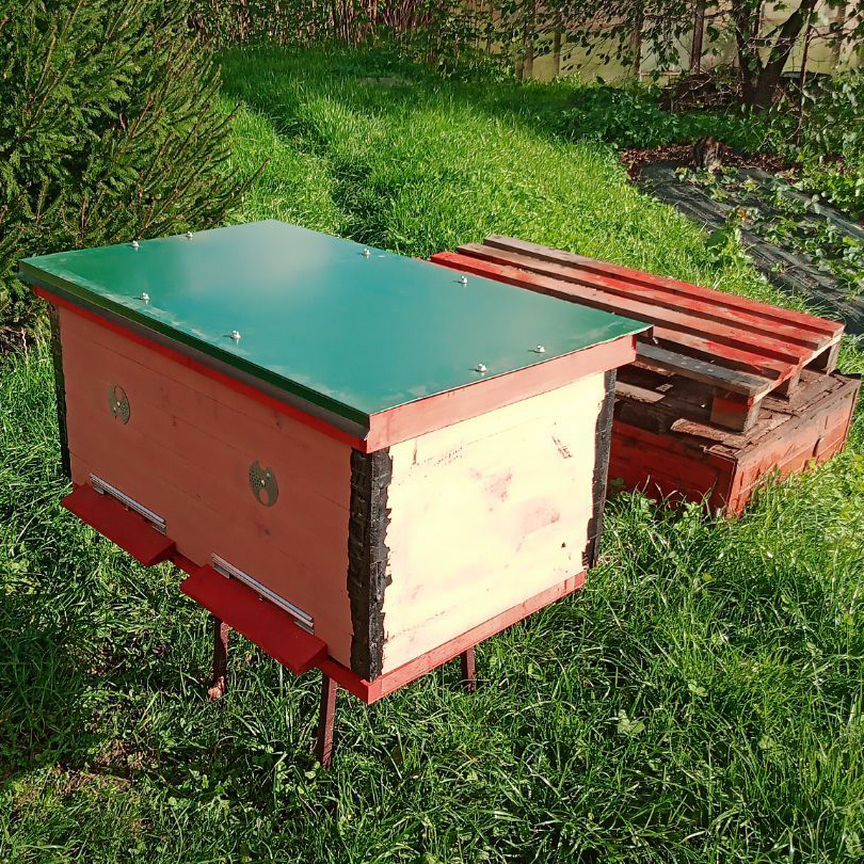 Улей Дадан 24 рамки