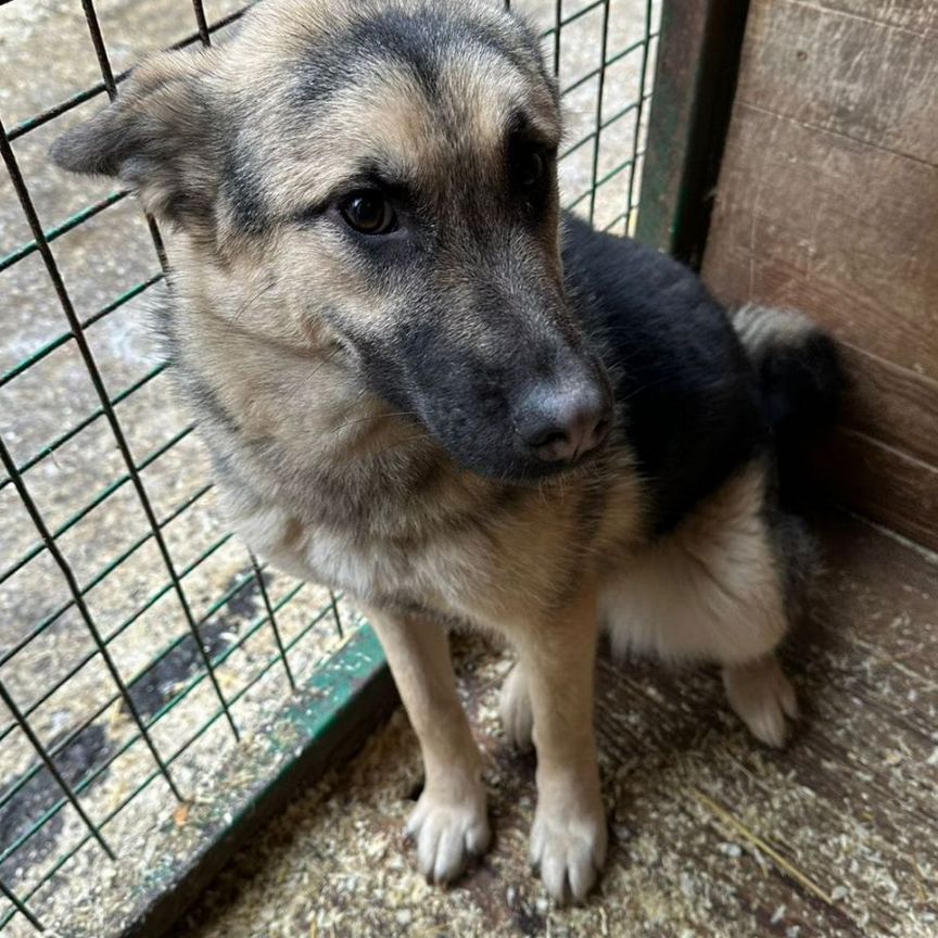 Девочка за решеткой ищет любящую семью