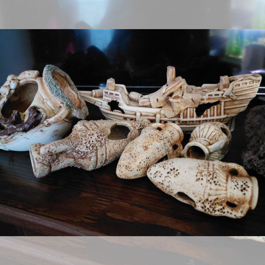 Аквариумная архитектура