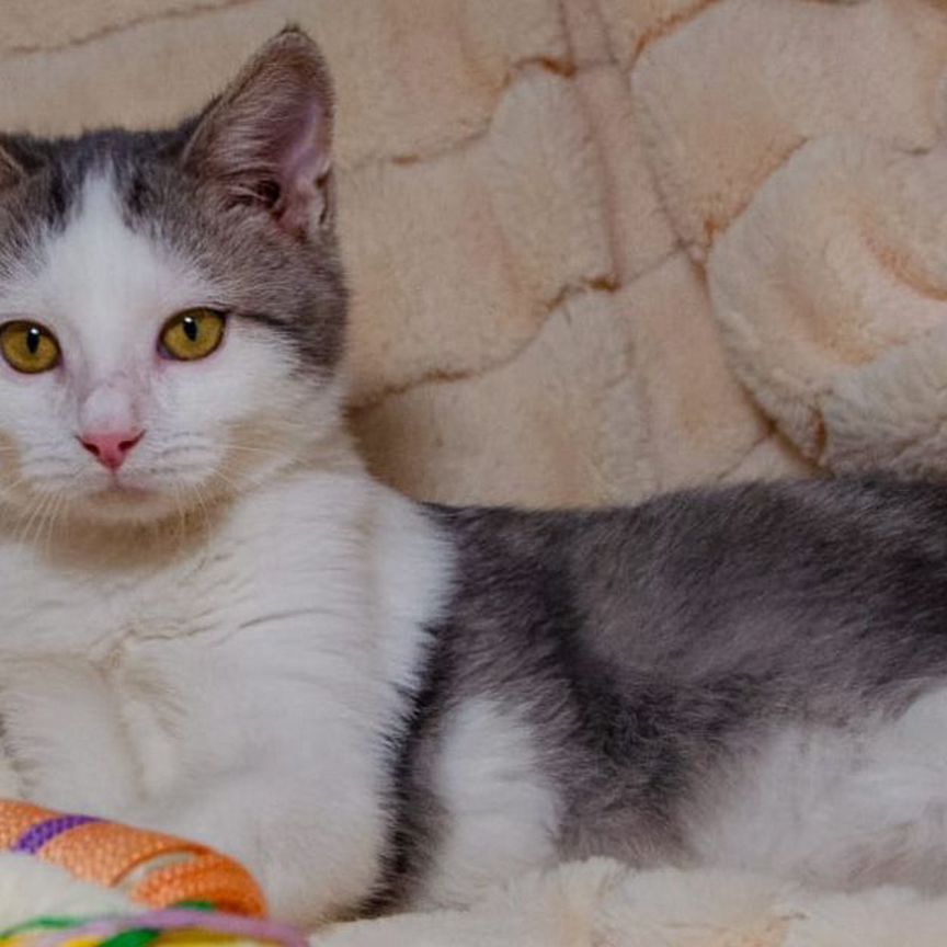 Мальчик в добрые ручки