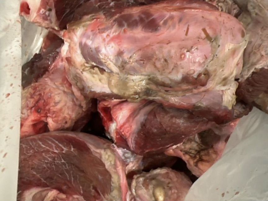 Мясо говядина для собак