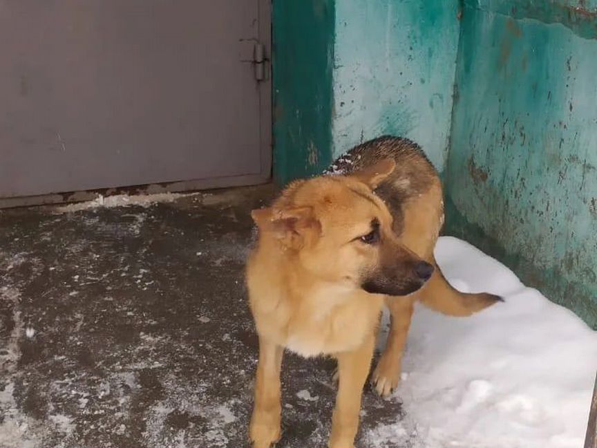 Тоби выселяют