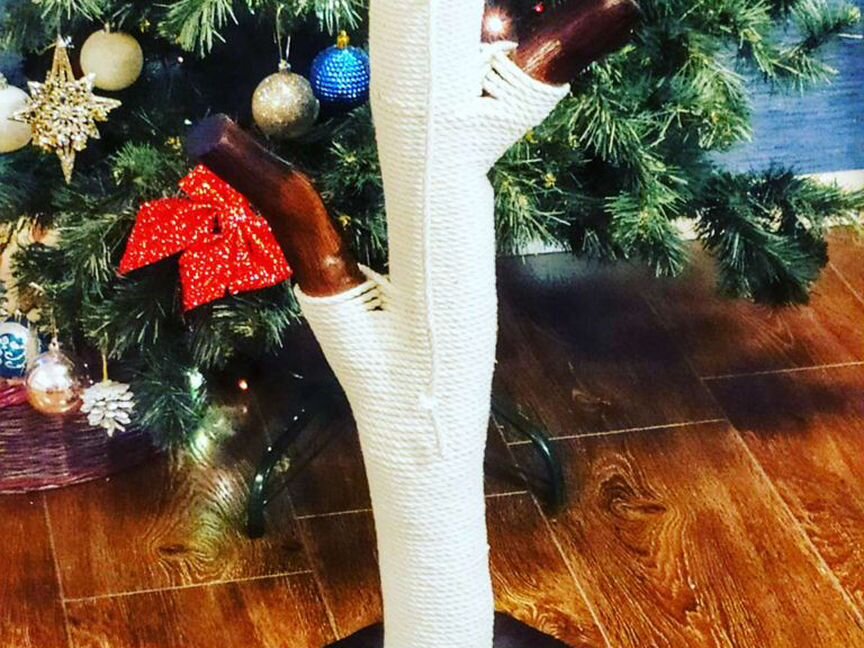 Когтеточка дерево