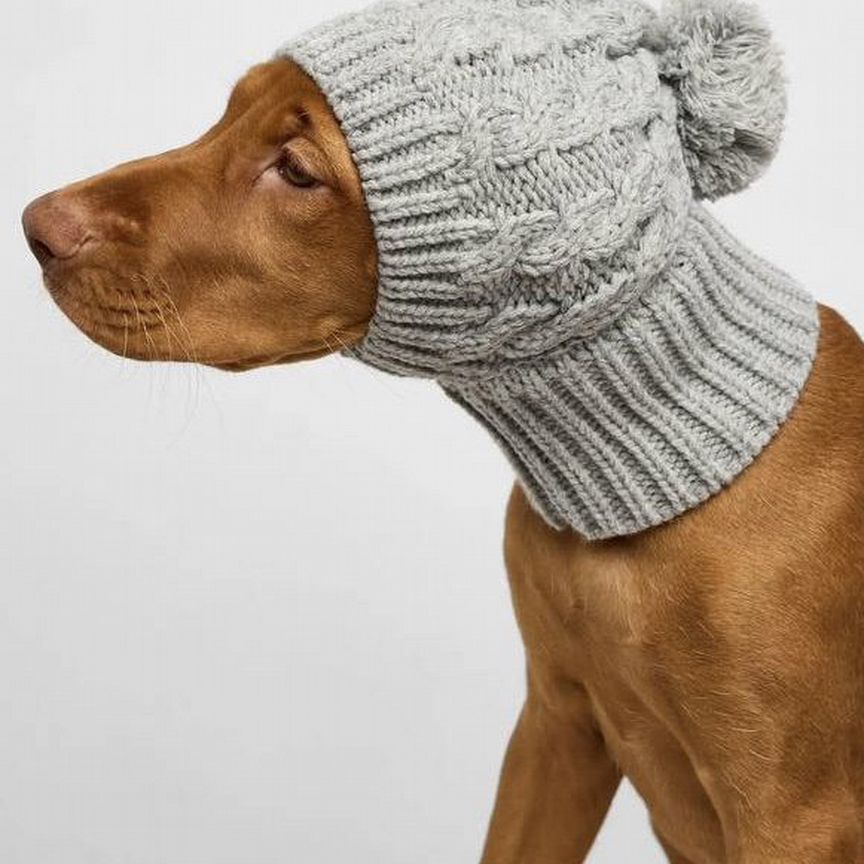 Шапка для собак мелких пород s