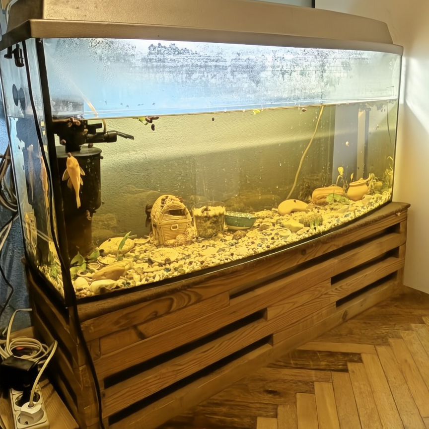 Аквариум 130 литров с сомами и фильтром