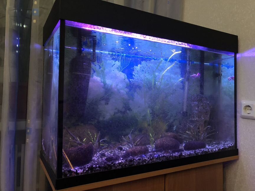 Аквариум 160л с тумбой