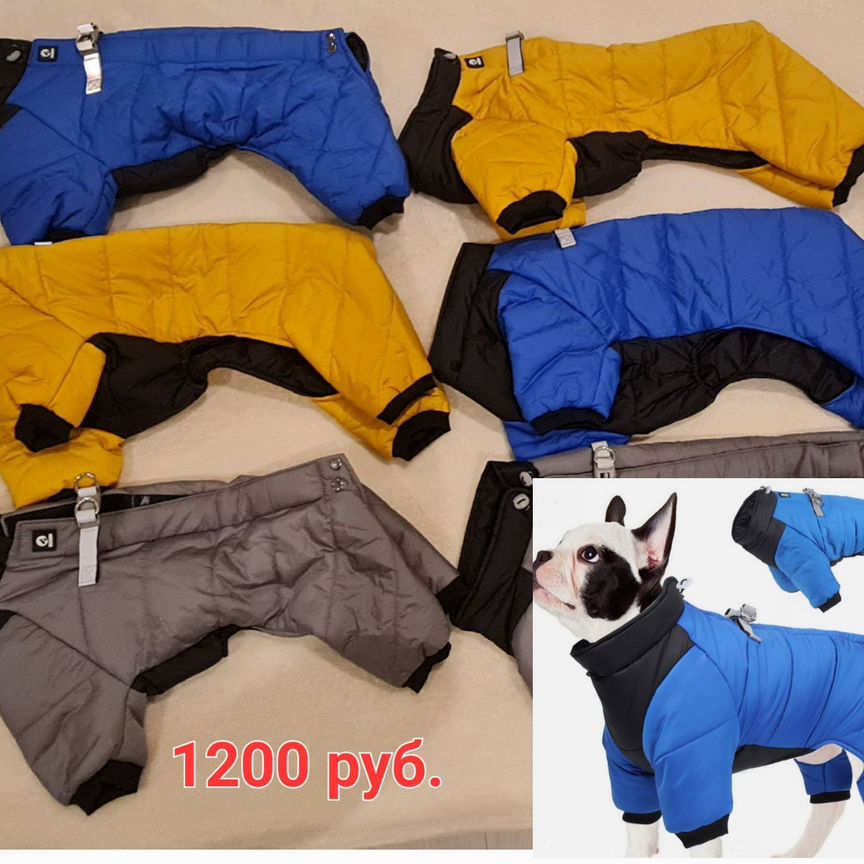 Комбинезон для собак средних пород