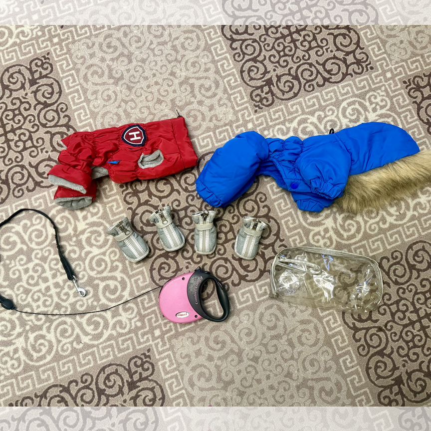 Комбинезоны, ботиночки, рулетка Flexi