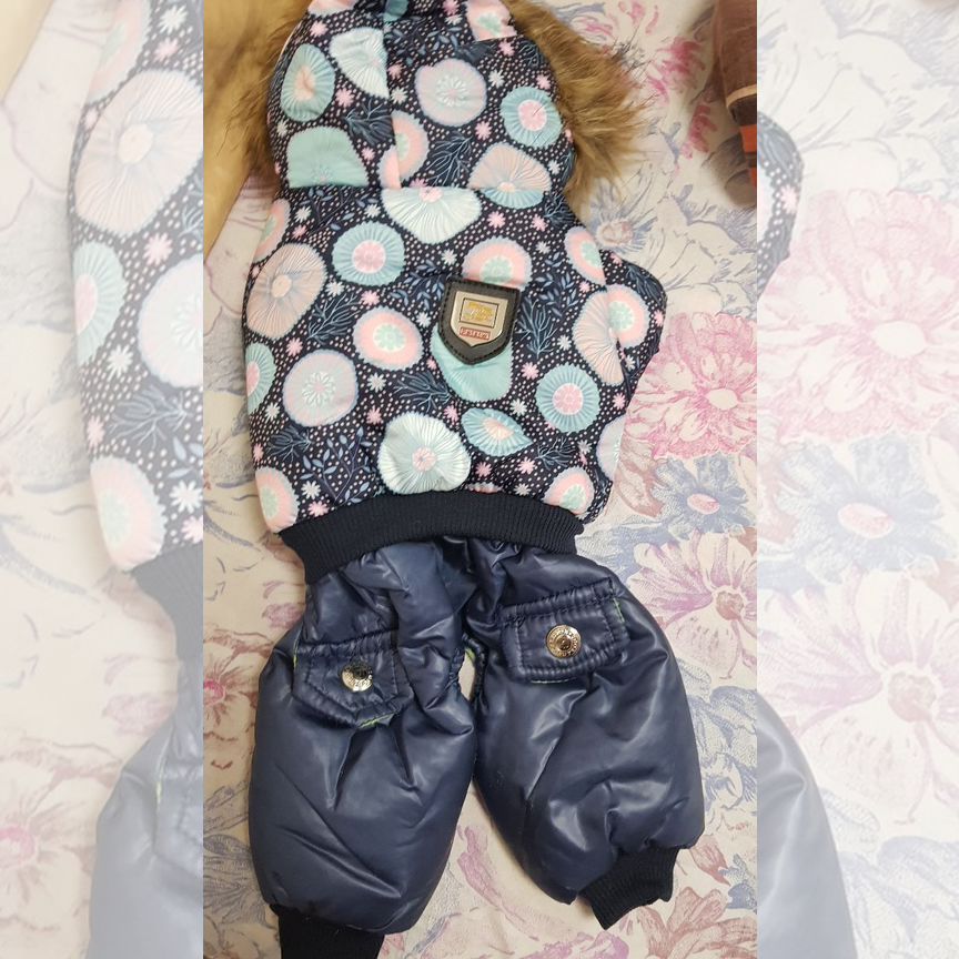 Одежда для собак мелких пород мальчик