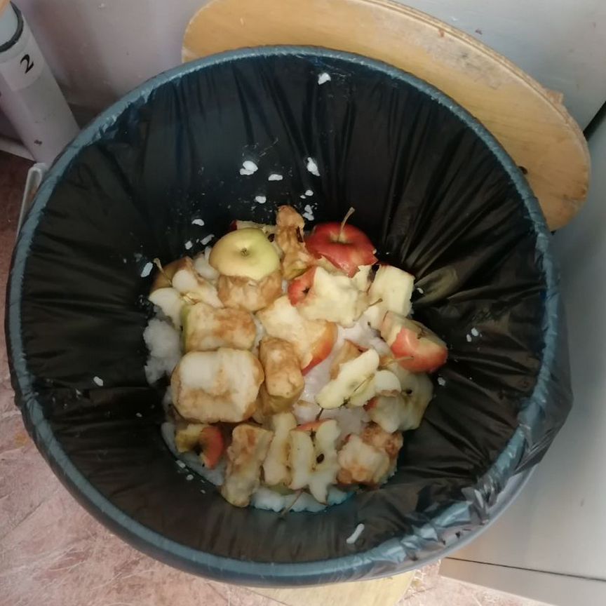 Пищеотходы