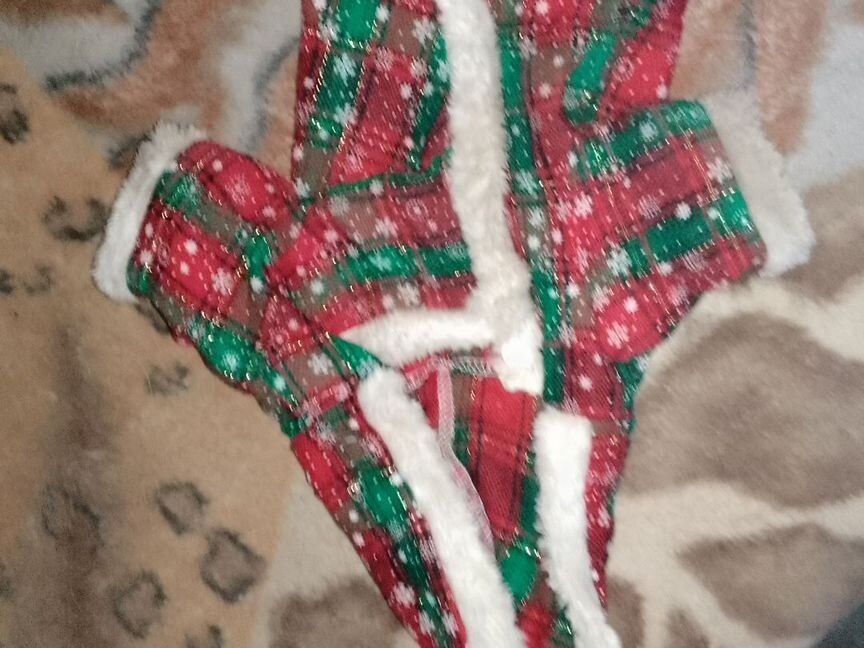 Одежда для собак