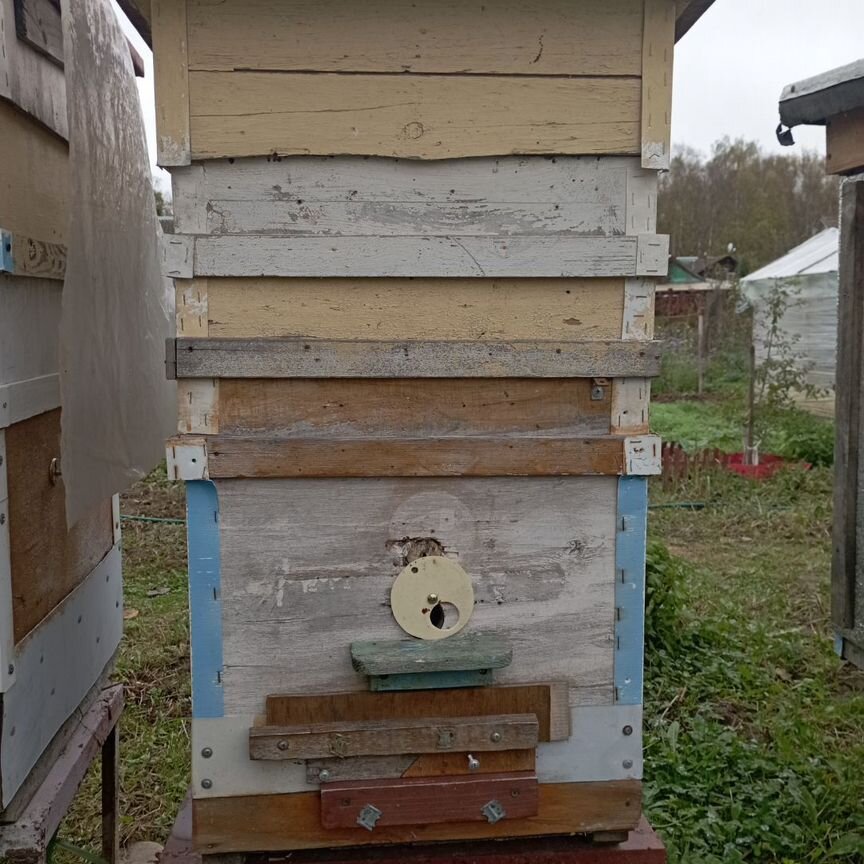 Продам б.у. улей под рамку дадан, 11 рамок