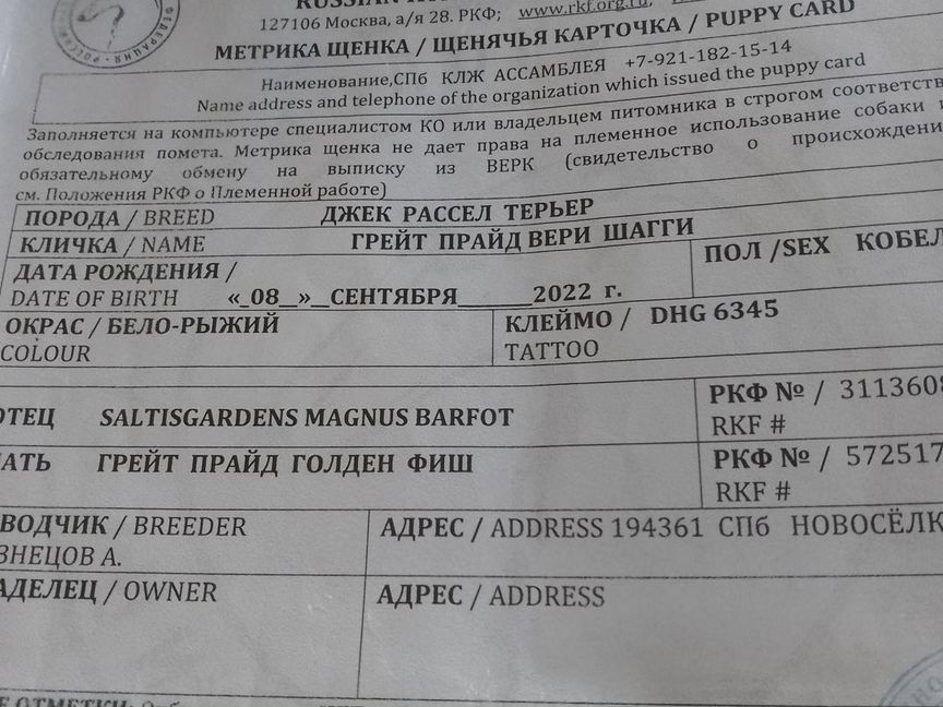 Дрт Брокен вязка