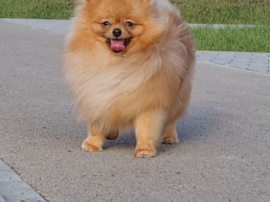 Мини мальчик 11 месяцев