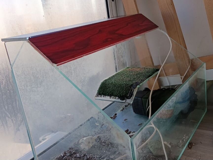 Аквариум для красноухой черепахи