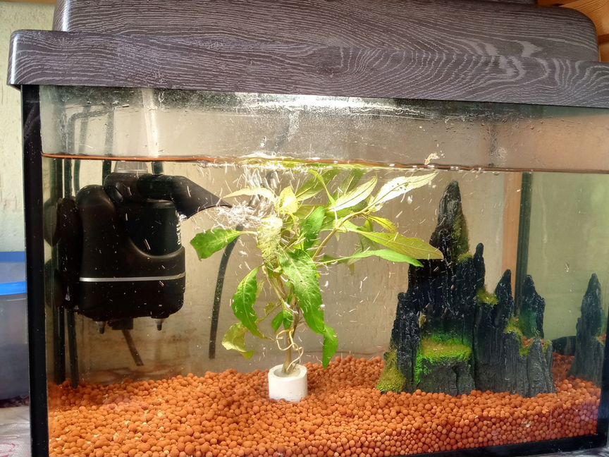 Готовый аквариум с рыбками 10 л