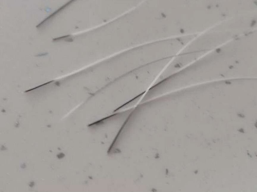 Кошачьи усы