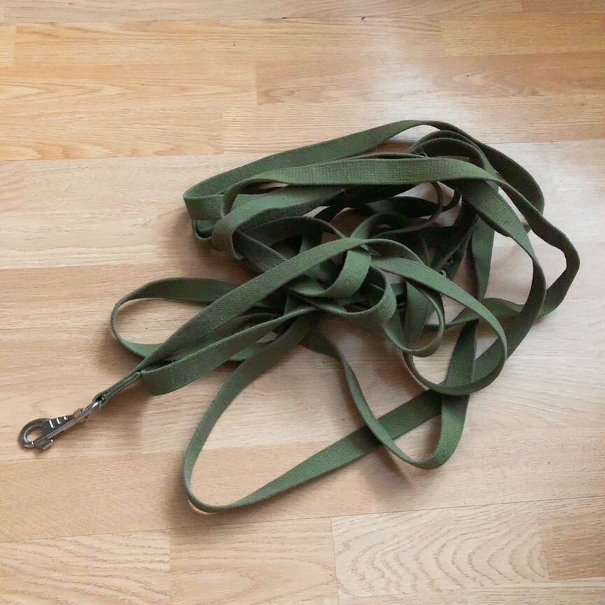 Поводок для собак 10м