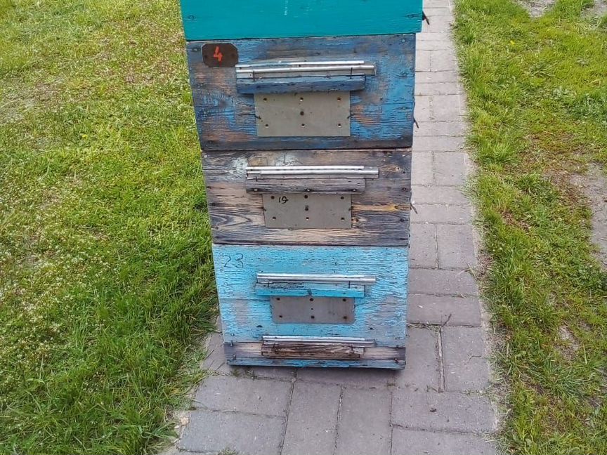 Продаются ульи для пчёл