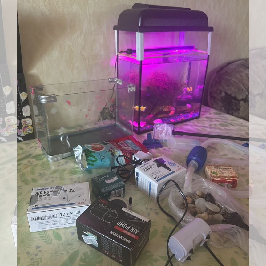 Аквариум с рыбками, и всем необходимым