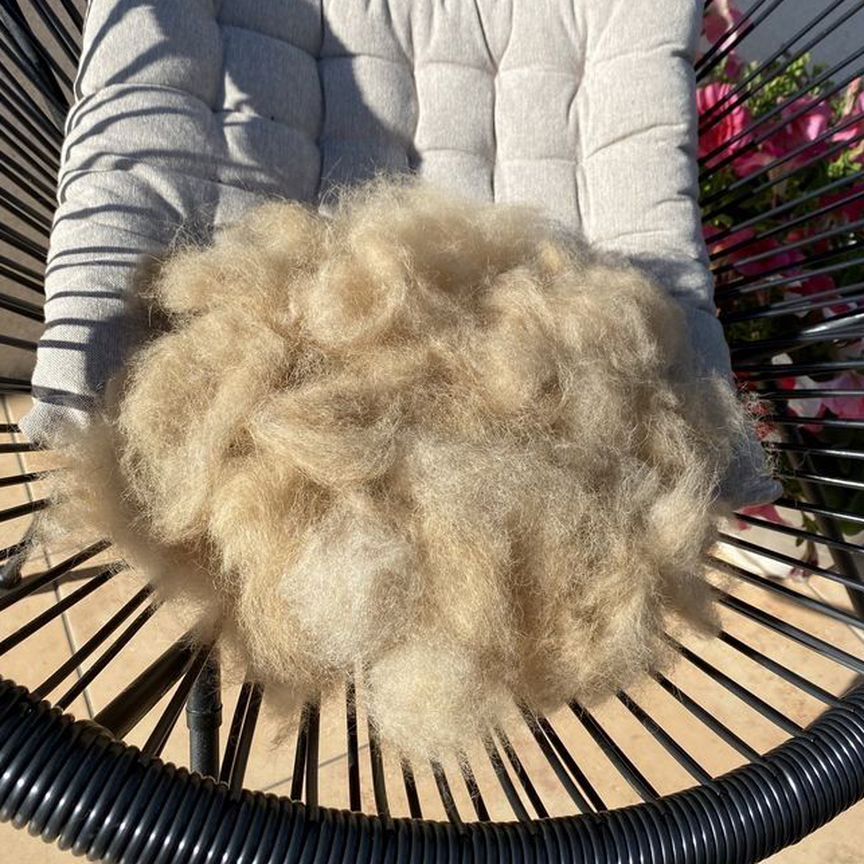 Шерсть чау чау