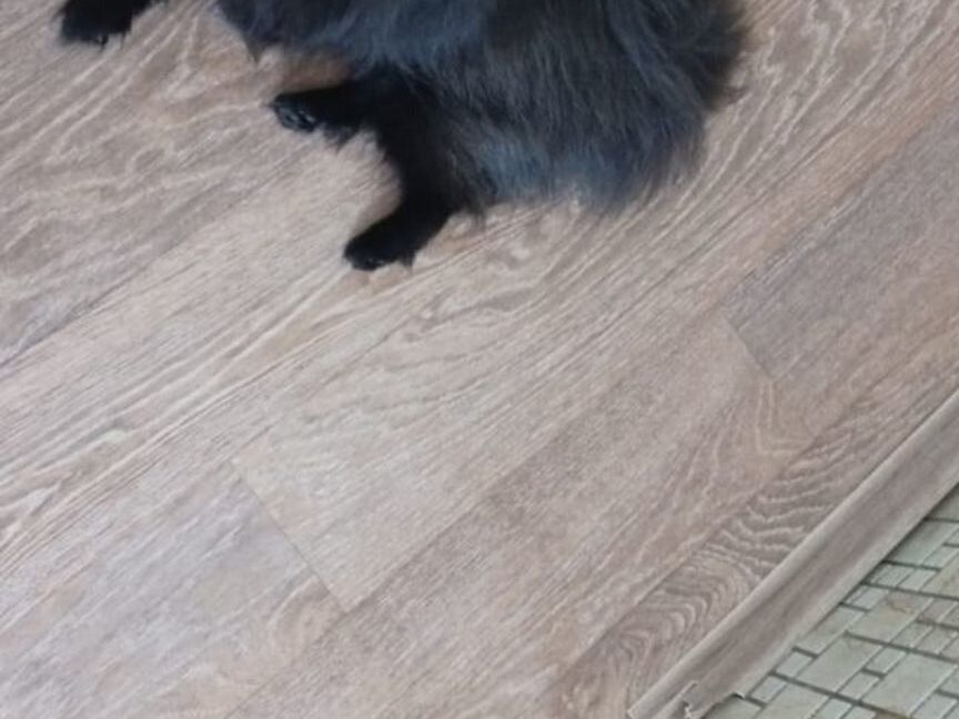 Милого мальчишку