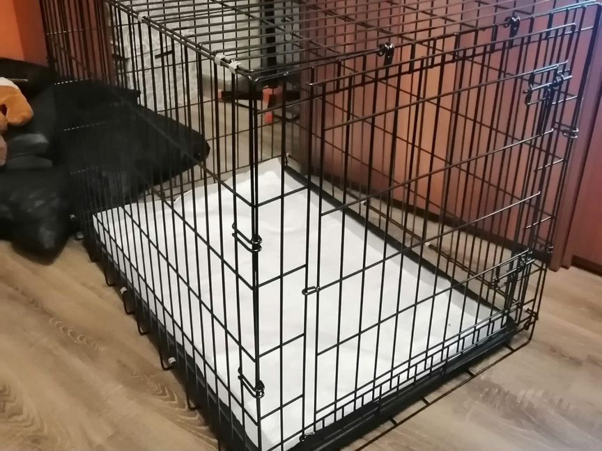 Клетка
