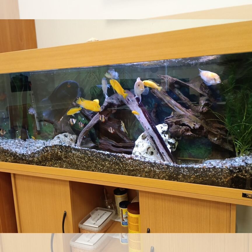 Аквариум 240 литров комплект