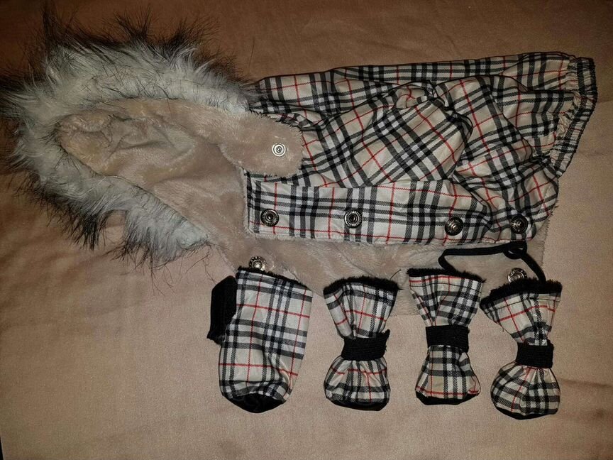 Одежда для маленьких собак бу