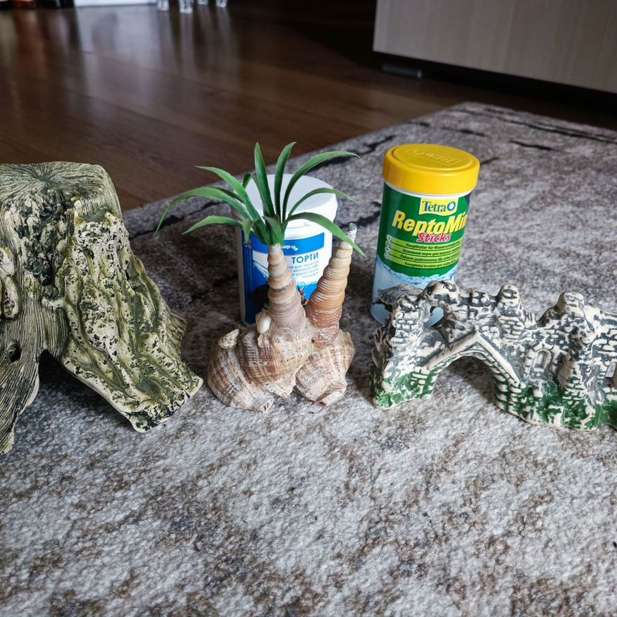 Гроты и корм