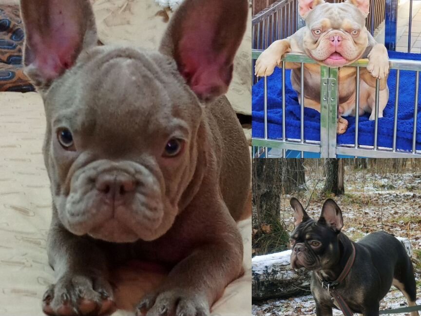 Мальчик с пальчик