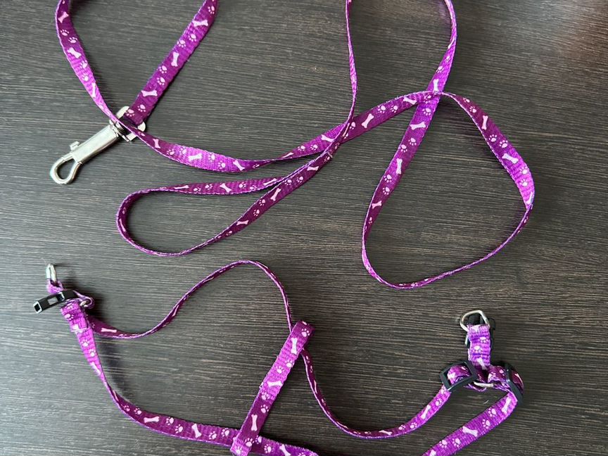 Шлейка для грызунов/котят