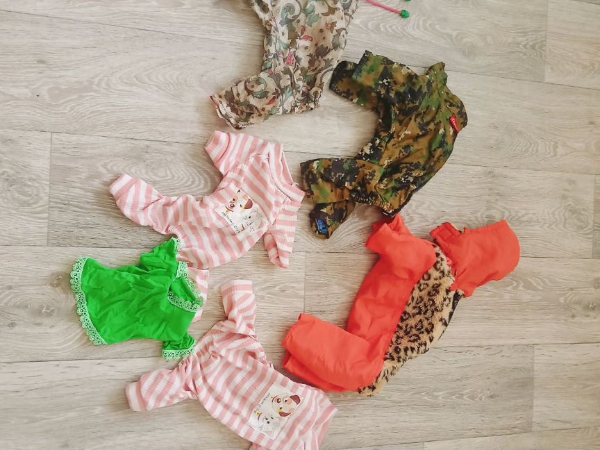 Одежда для собак