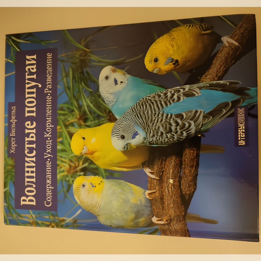 Волнистые попугаи