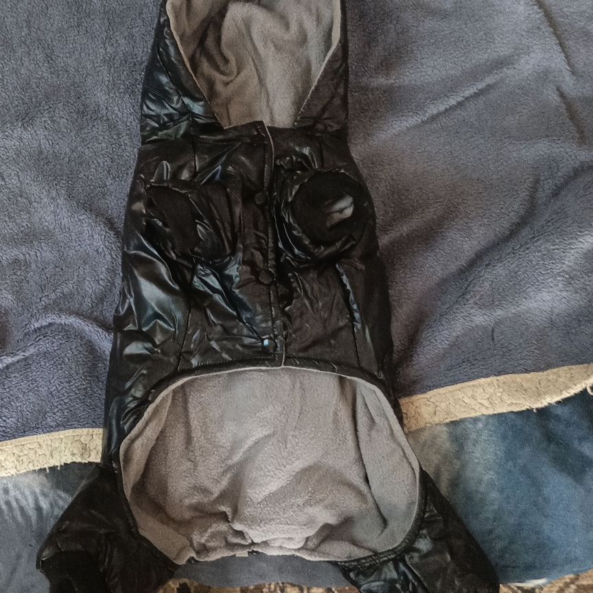 Зимняя одежда для собак