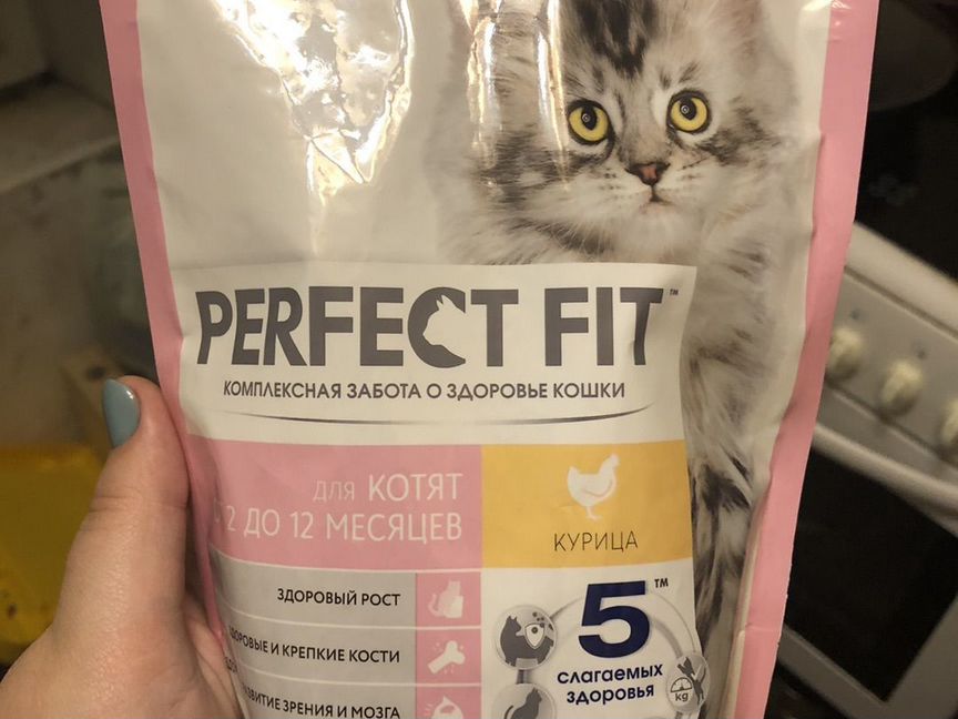 Корм для кошек