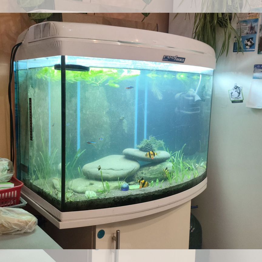 Аквариум панорамный Aquael 60*40*45