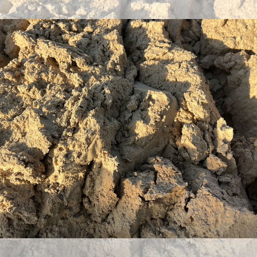 Жмых овсяный