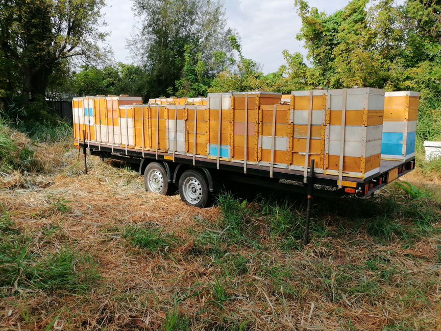 Пчелоприцеп легковой